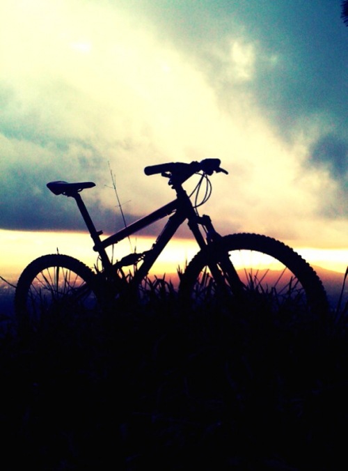 Tim Hortons Local Earn-a-Bike Outreach Program and other CSR Business ...